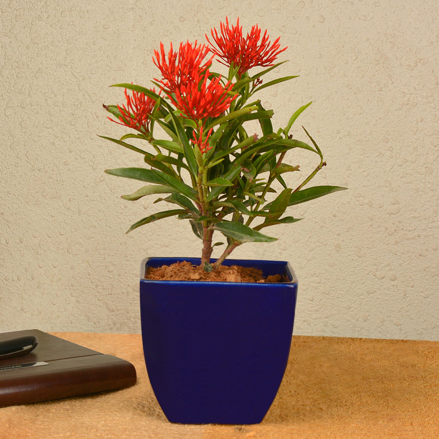 Buy Studio Pottery Ceramic Planter Pot (Prussian Blue,11 cm) Online at ...